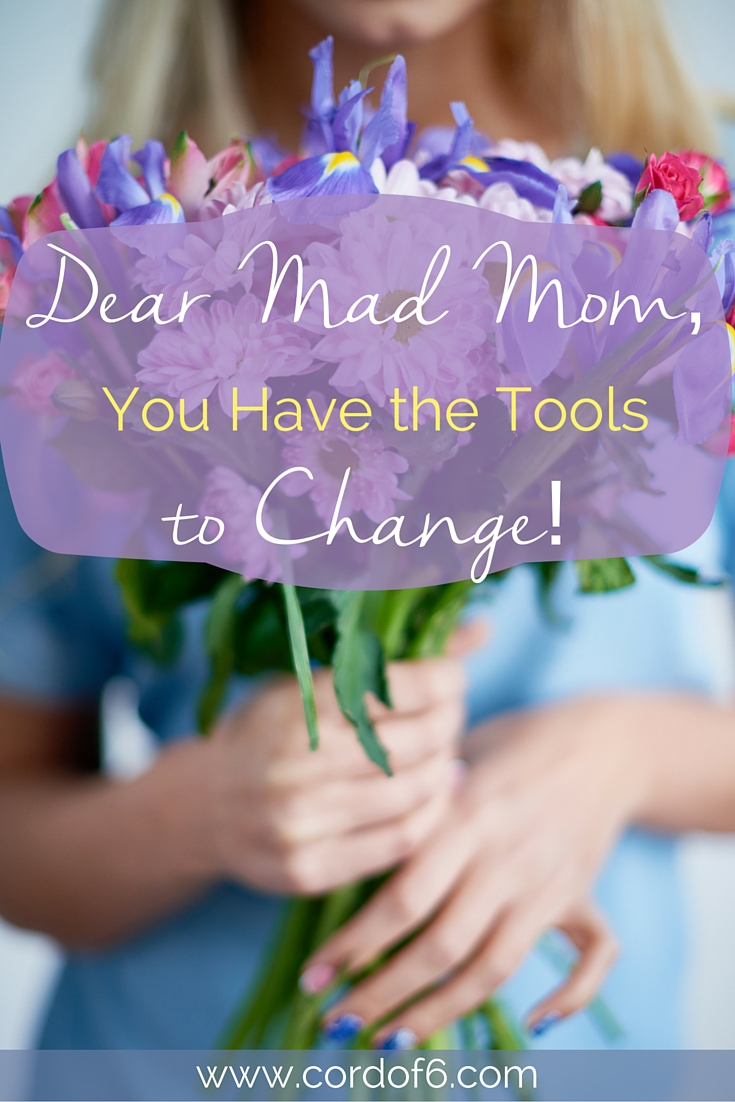 Dear Mad Mom, You Have the Tools to Change! - Valerie Murray